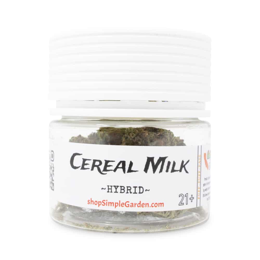 Cereal Milk (Hybrid) - Indoor THCa Flower (3.5g) - Simple Garden