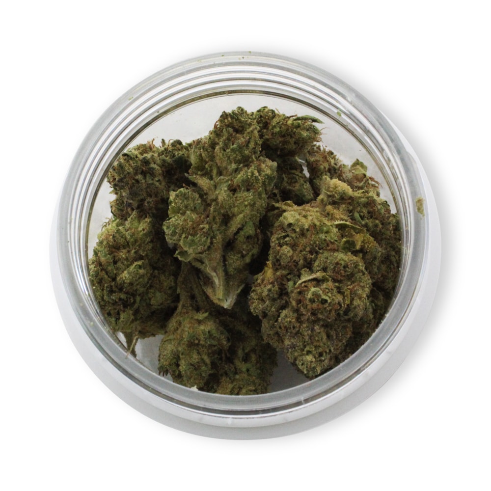 Cereal Milk (Hybrid) - Indoor THCa Flower (3.5g) - Simple Garden