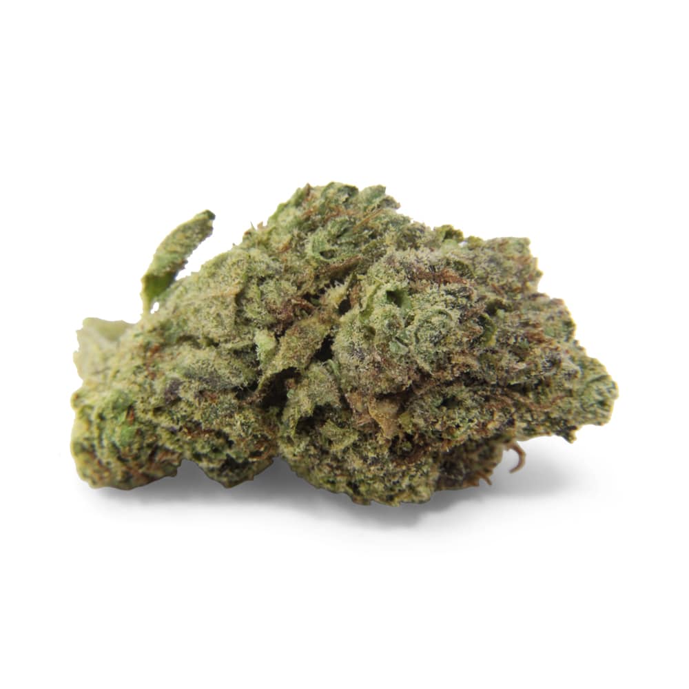 Cereal Milk (Hybrid) - Indoor THCa Flower (3.5g) - Simple Garden